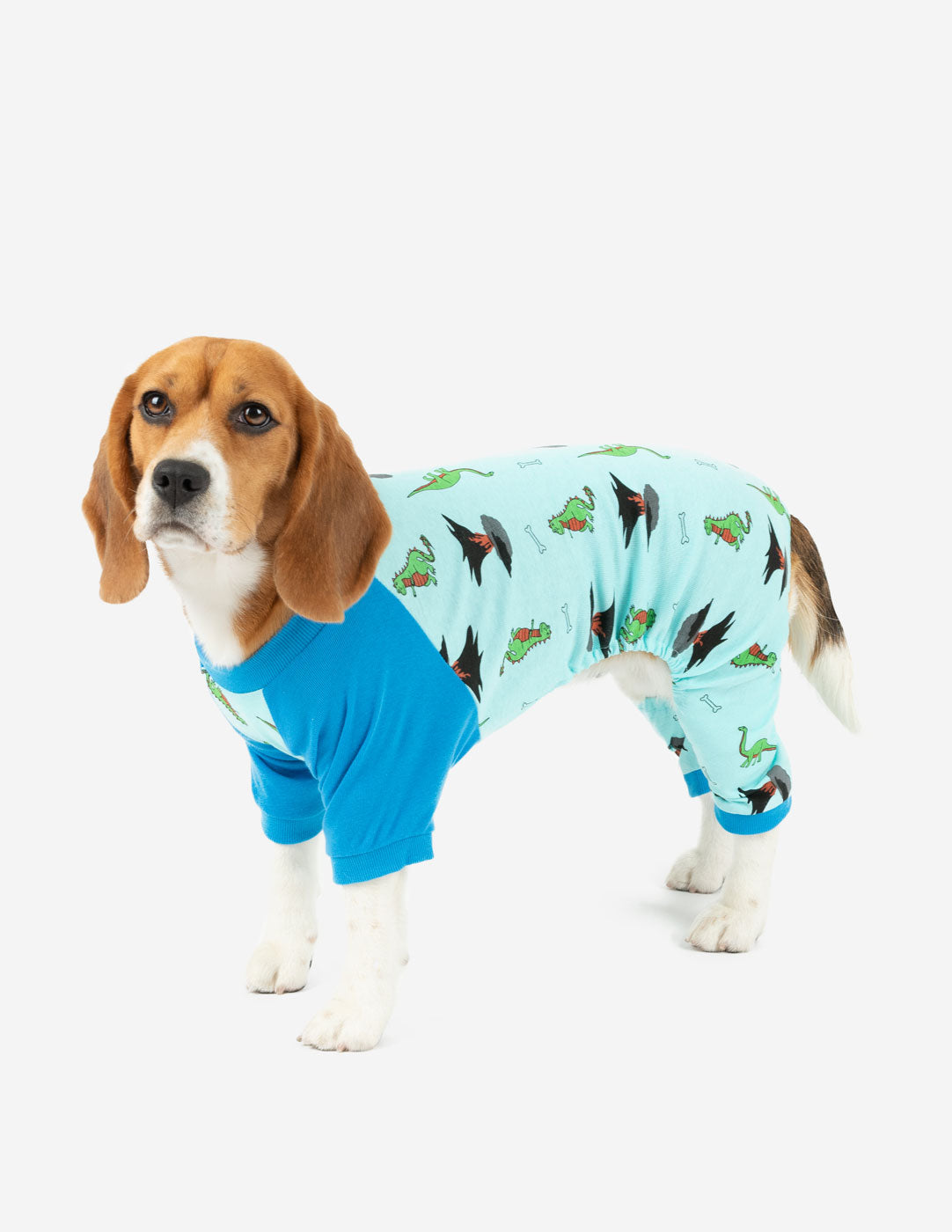 Toddler Pajamas - Blue Dog Print One-Piece - Leveret Clothing