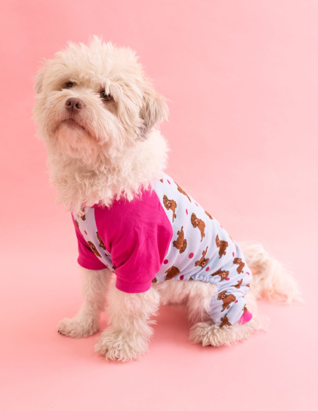 Dog Pajamas - Cotton Dog Print, Pink Sleeves - Leveret Clothing
