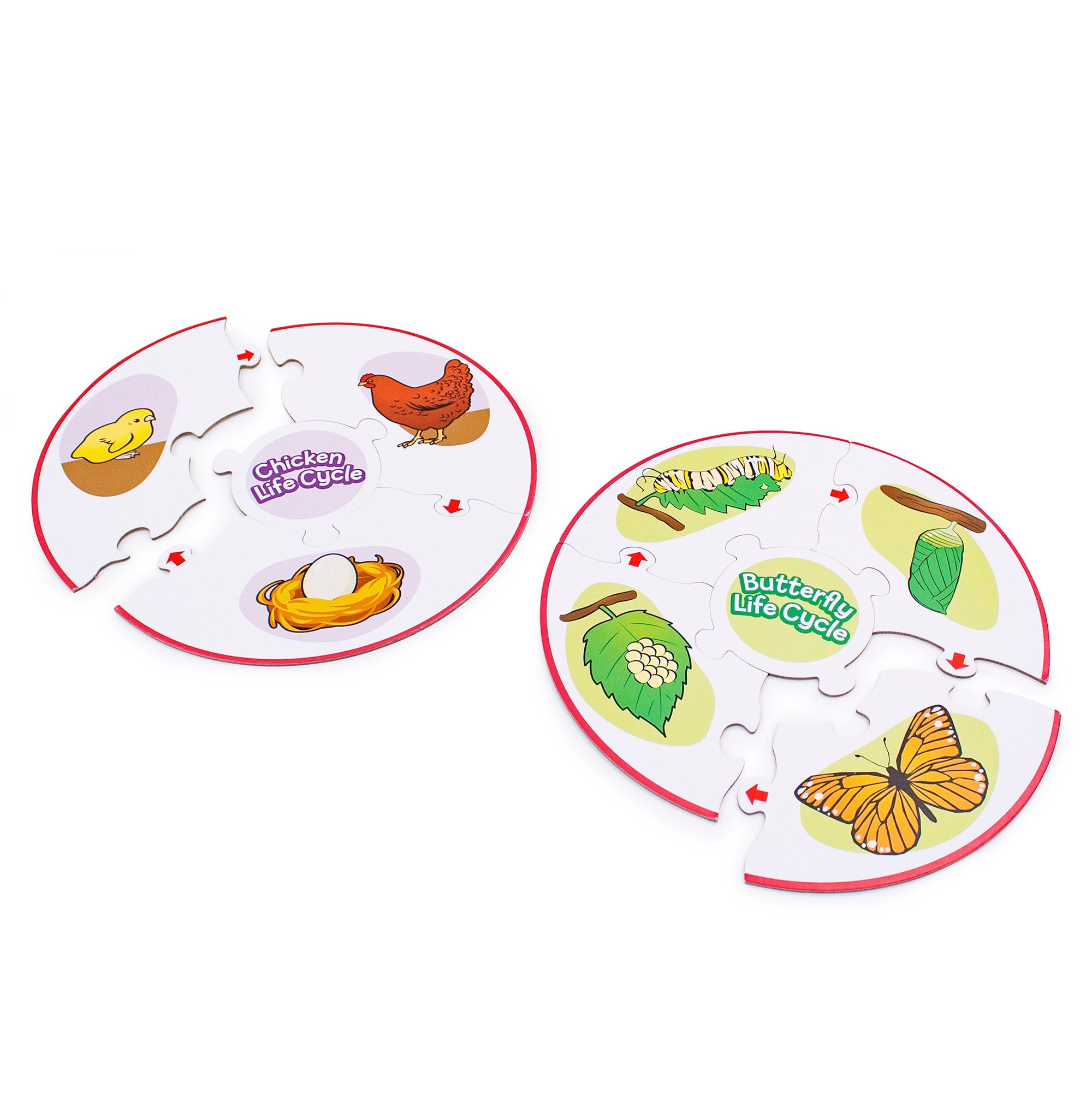 Junior Learning USA Life Cycle Puzzles for Kids
