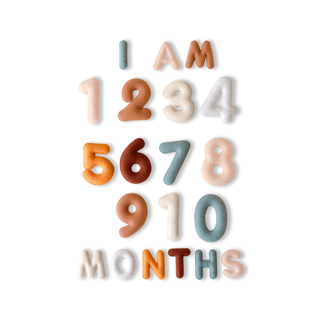 Lucy Darling Neutral Milestone Felt Numbers for Baby