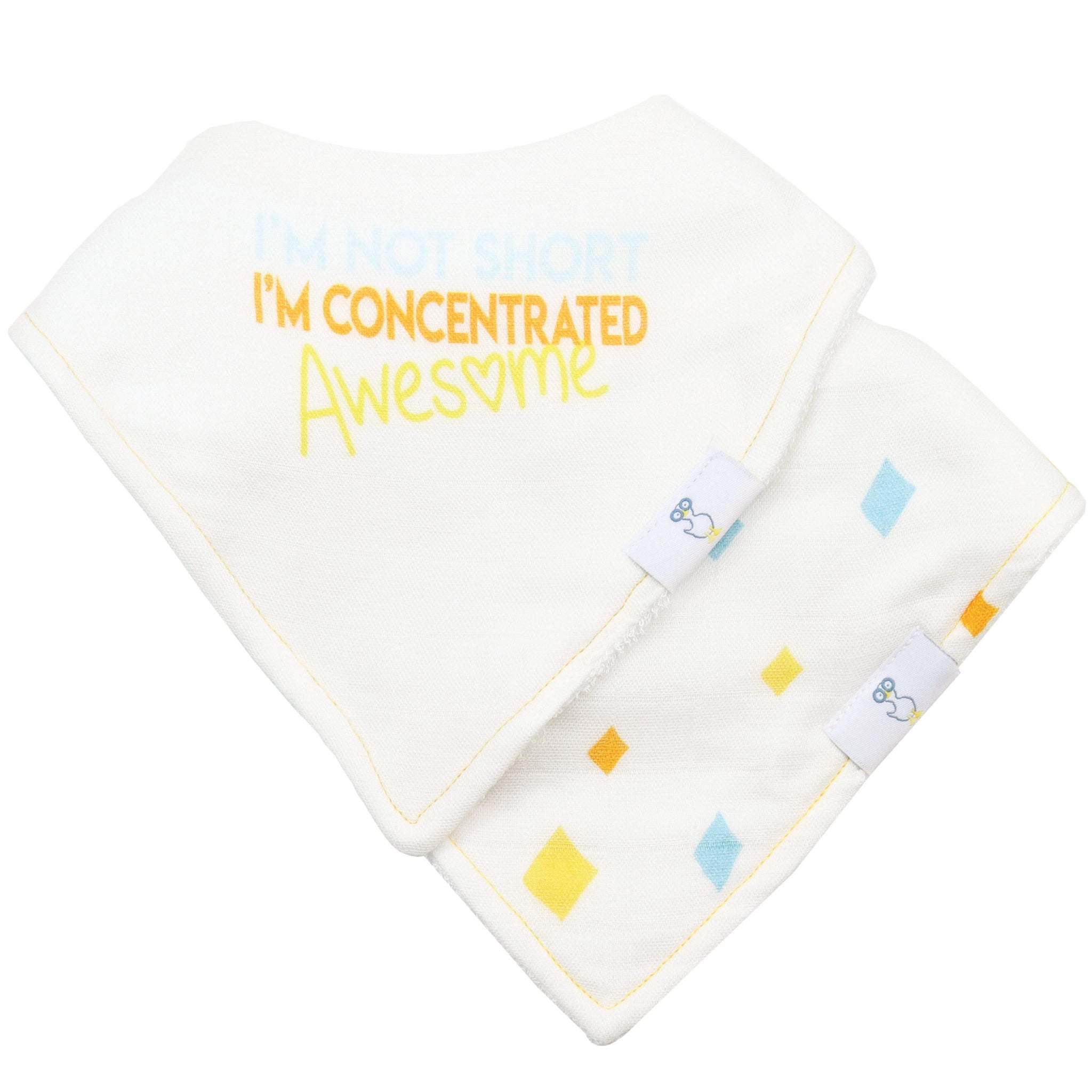 Baby Bib Set – Muslin & Terry Cloth, Awesome Print & Diamonds | Goosewaddle
