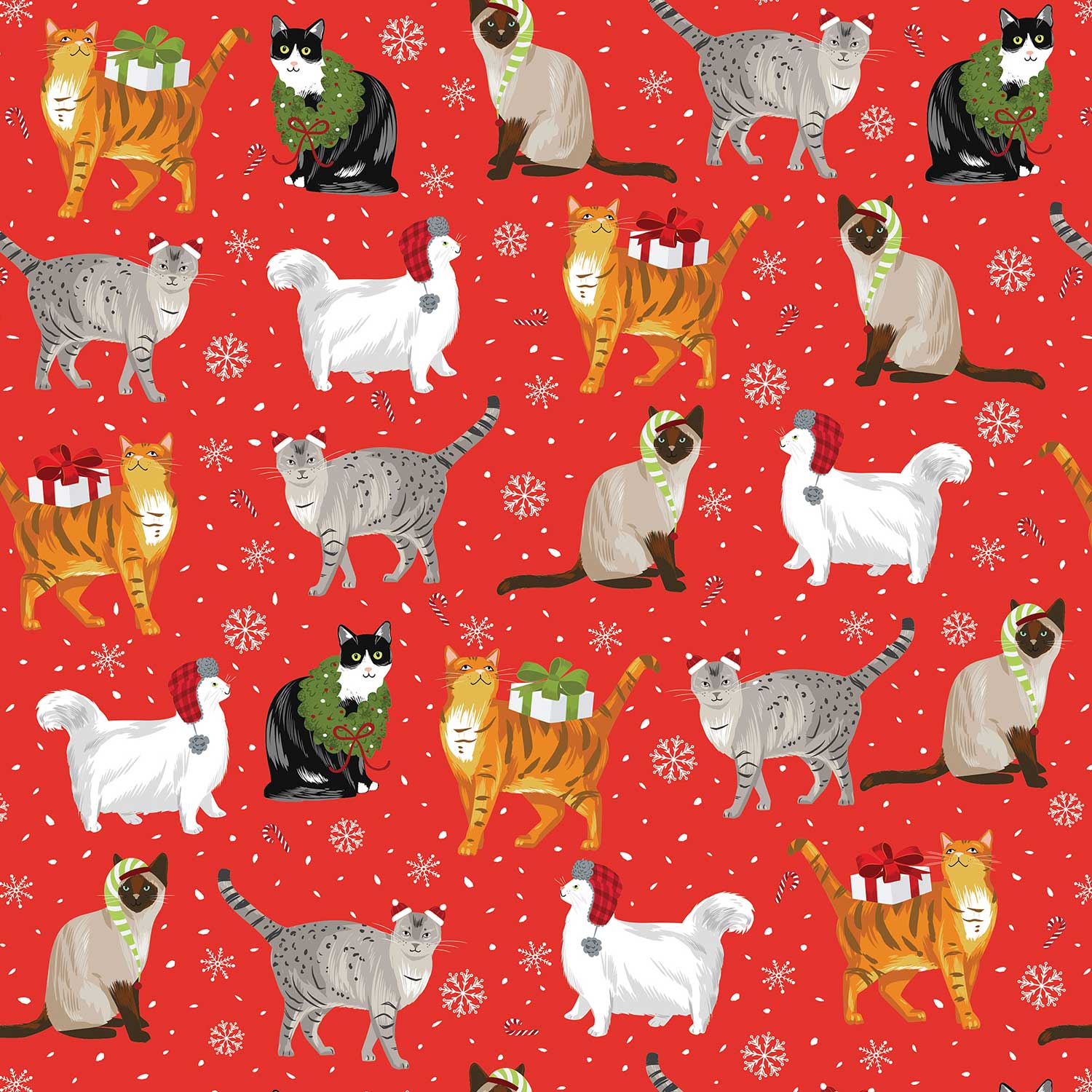 Jillson & Roberts Gift Wrap – Red, Fancy Cats Christmas Print